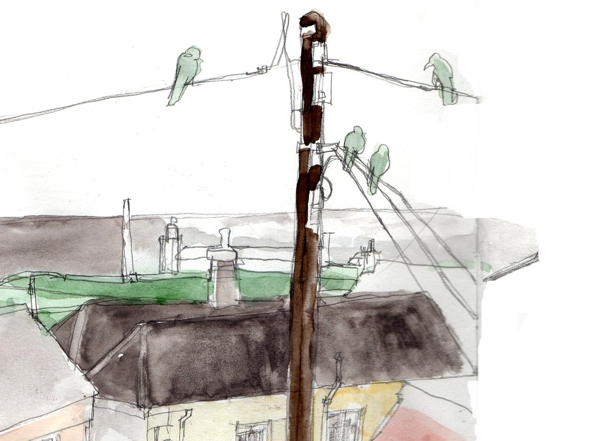 Sketching crows on The Lizard – OxfordArtist